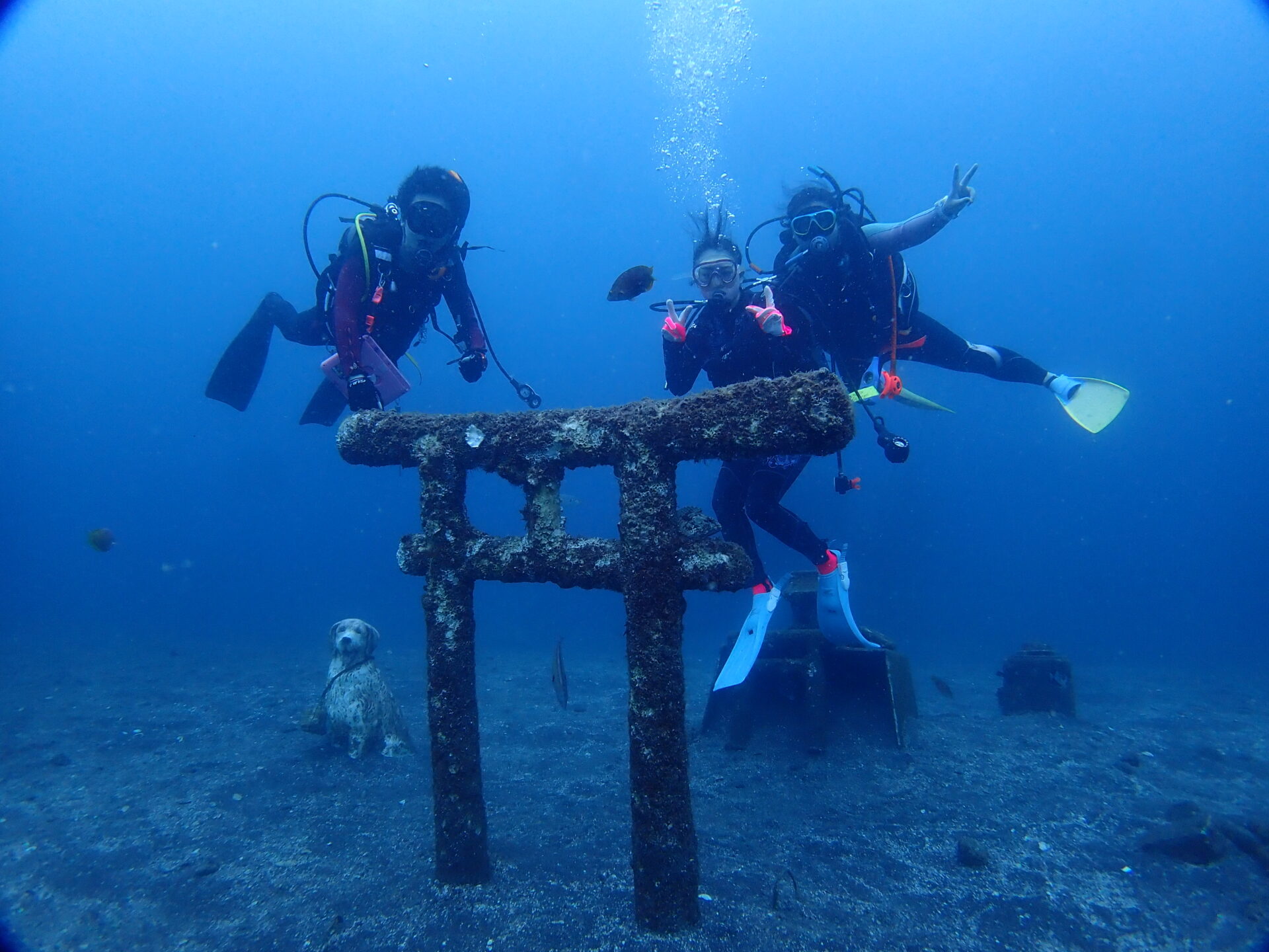 大瀬崎 湾内 | SANDWAVE｜東京都西新宿の老舗スキューバダイビングショップ サンドウェーブ